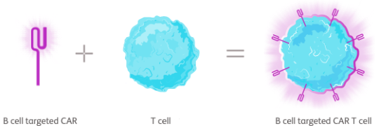 What is CAR T-Cell Treatment for Autoimmune Diseases?