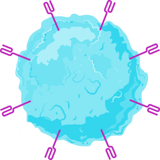 What to Expect When Receiving CAR T-Cell Therapy