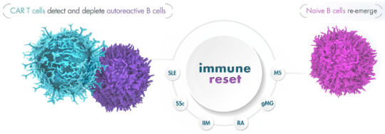 CAR T-Cell Therapy Research in Autoimmune Disease │ For HCPs