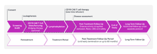 Systemic lupus erythematosus